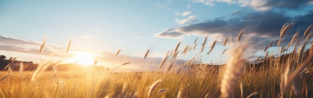 Events | Reagan Lynn McKinney-Wilson (Lebanon)